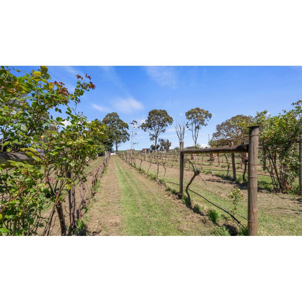 Jim Frangos' Swiss Mountain Hotel for sale