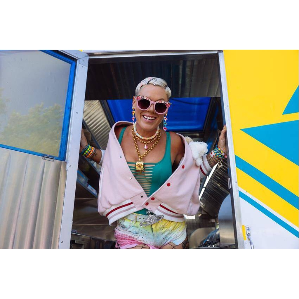 From Malibu to Santa Barbara, take a peek inside the homes of pop star Pink