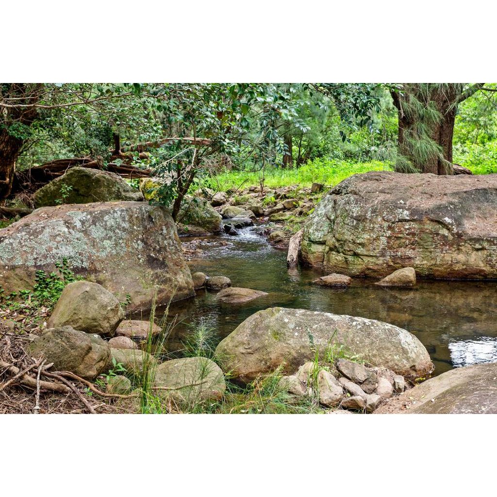 'Desirable' Calderwood property could be ultimate tree-change: video ...