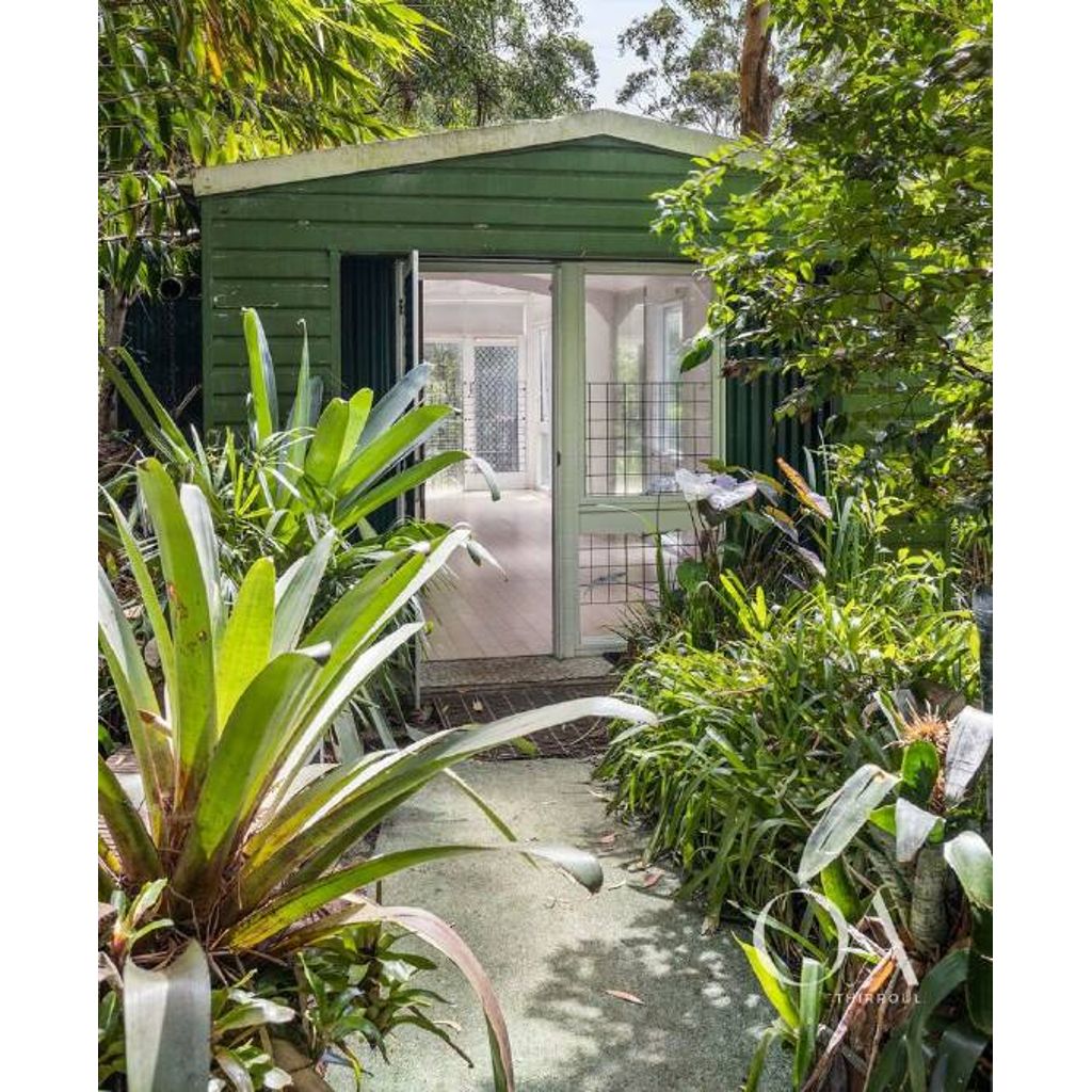 'Special little oasis': The Bulli house that's a gardener's dream