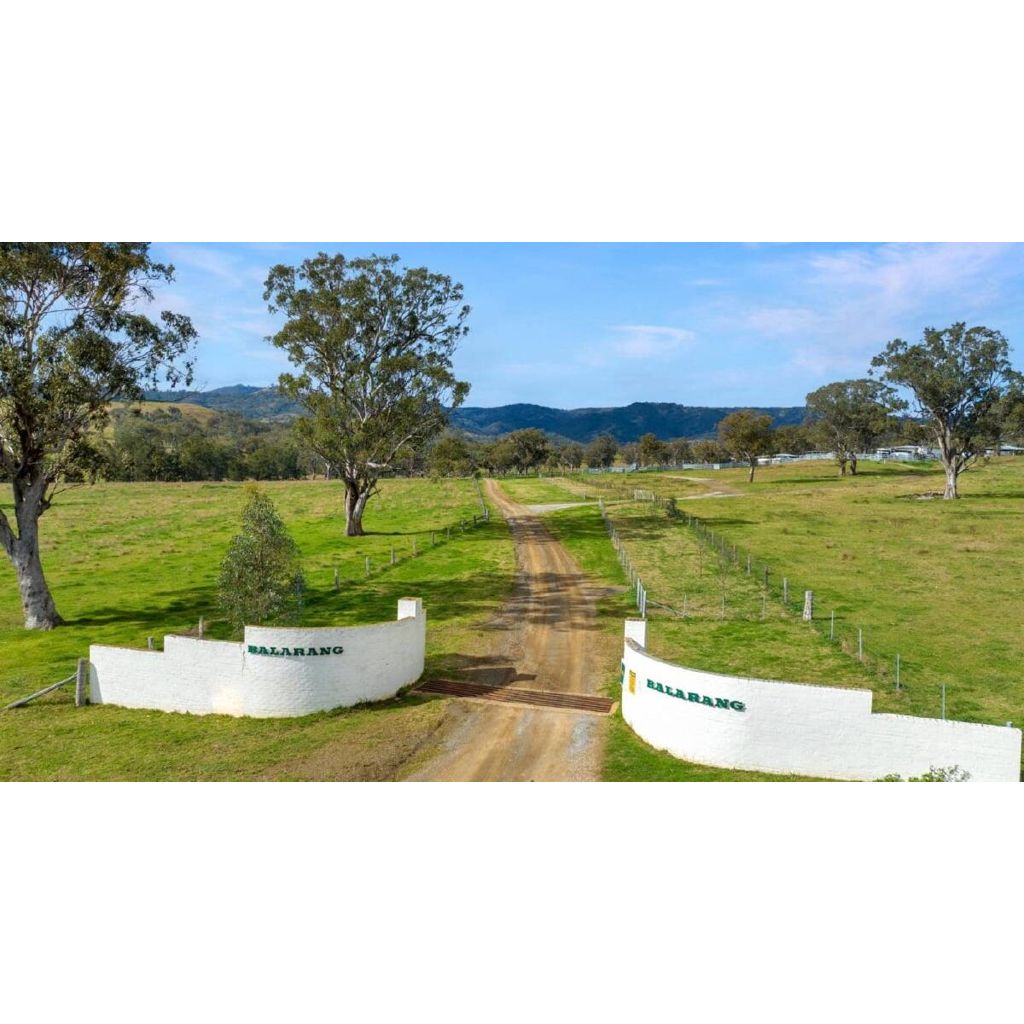 Sydney investor pays $32.5 million for cattle farm near Scone