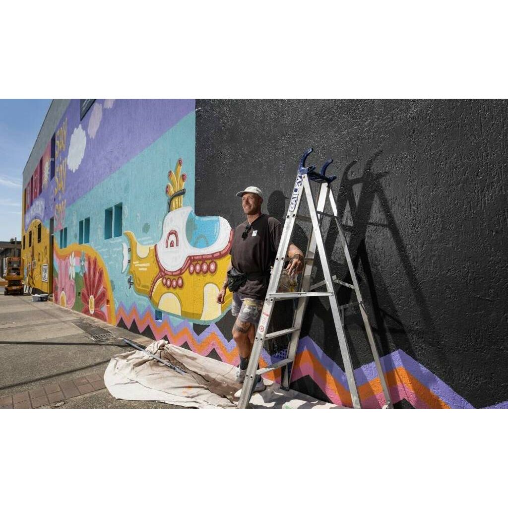 Renovation adds almost $1m value to artist Mitch Revs' Hamilton South home