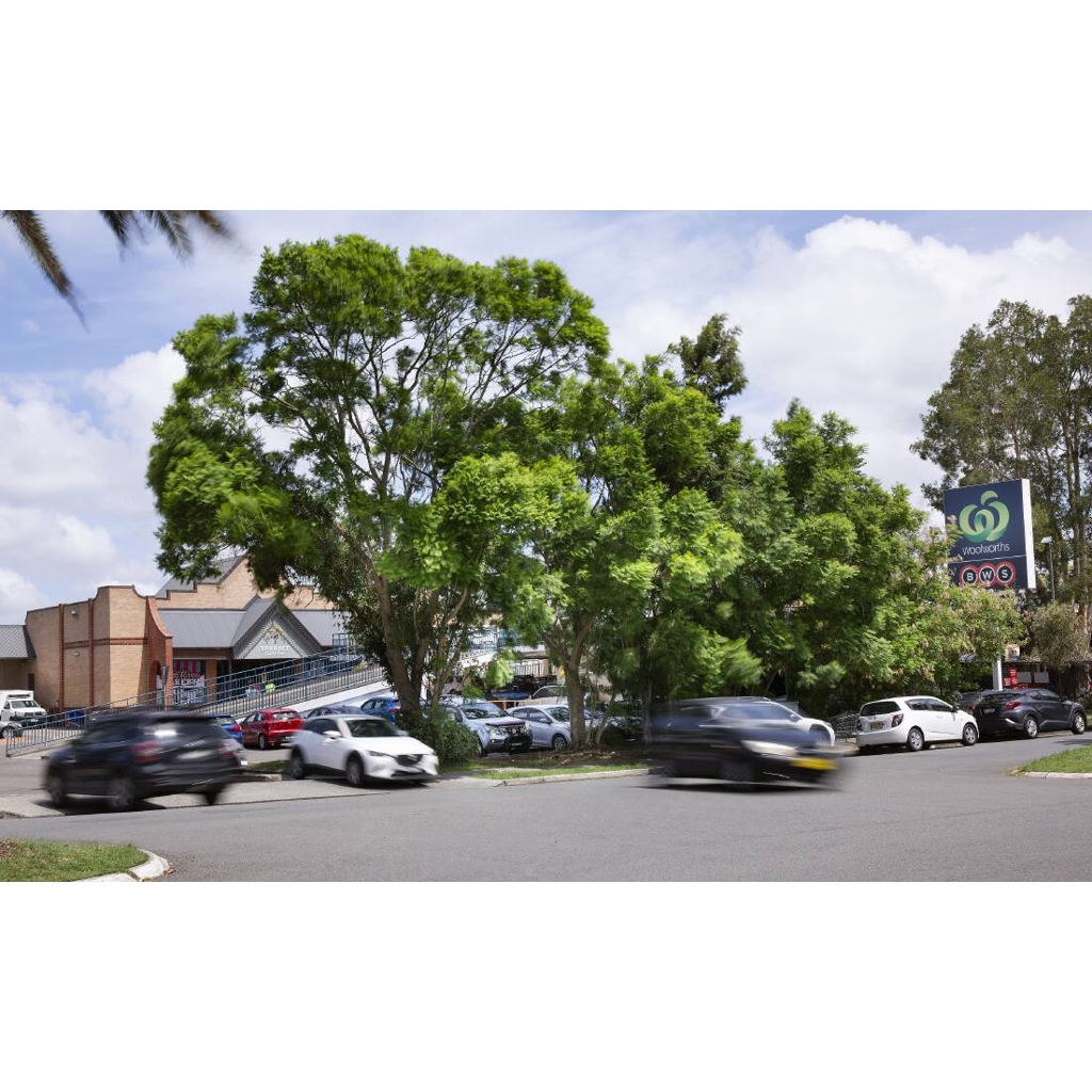 Last sold for $33.5 million, Raymond Terrace shopping centre returns to ...