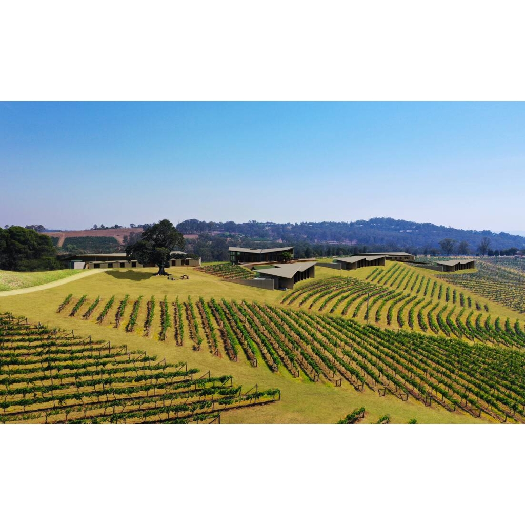 Brian McGuigan and Col Peterson sell Hunter Valley vineyards to make ...