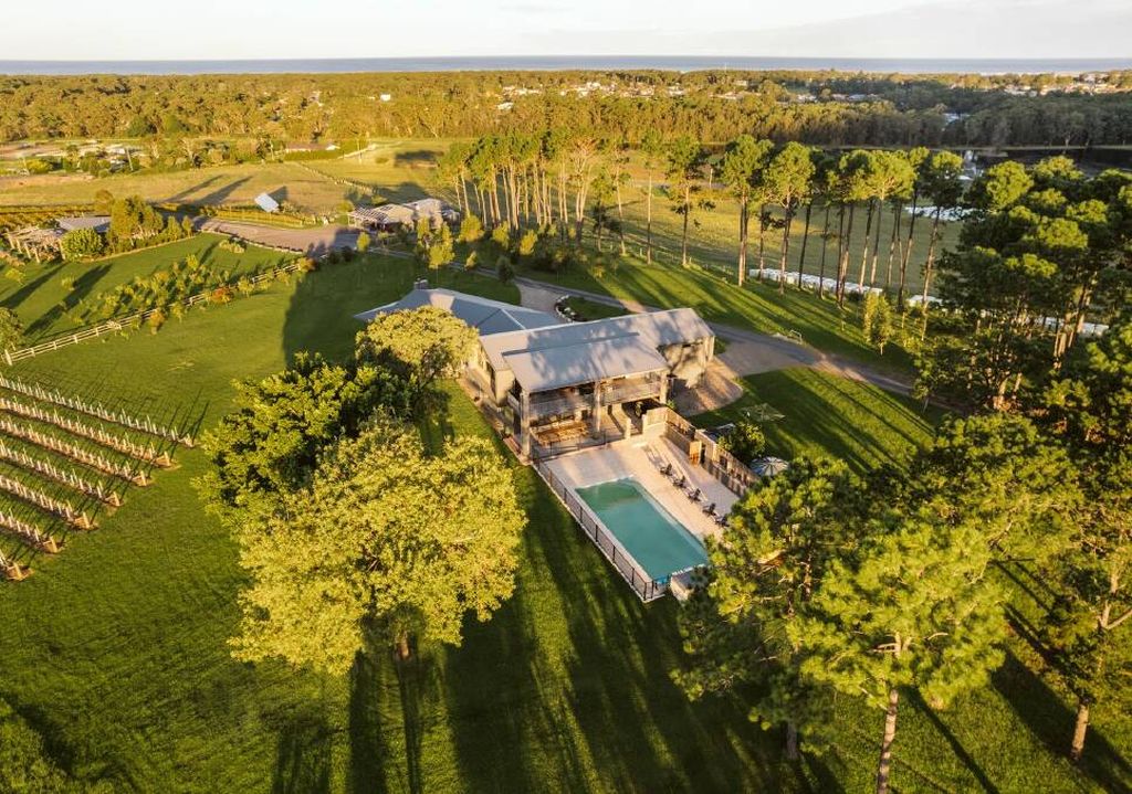 Time for a career change? A South Coast winery is now for sale