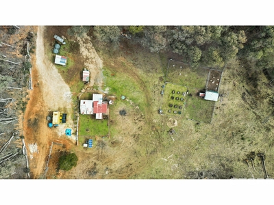 1695 Bendoc Orbost Road, Bendoc, VIC 3888 for Sale | view.com.au