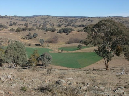 1562 Lower Lewis Ponds Road, Lower Lewis Ponds, NSW 2800 Property ...