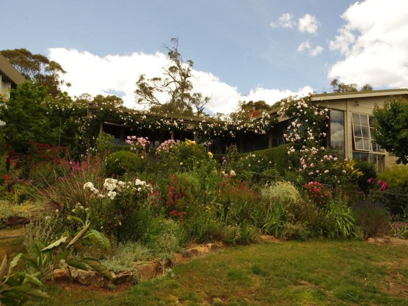 17 Headland Road, Anglers Reach, NSW 2629 Property Details - view.com.au