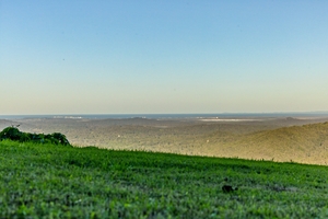 629 Maleny Montville Road, Balmoral Ridge, QLD 4552 for Sale | view.com.au