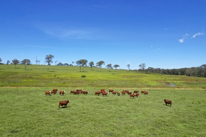 2617 Mount Fox Road, Mount Fox, QLD 4850 for Sale | view.com.au