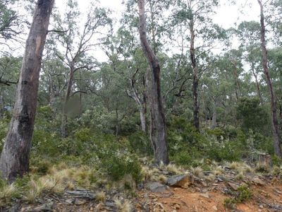 2 Breona Rise, Breona, TAS 7304 Property Details - view.com.au