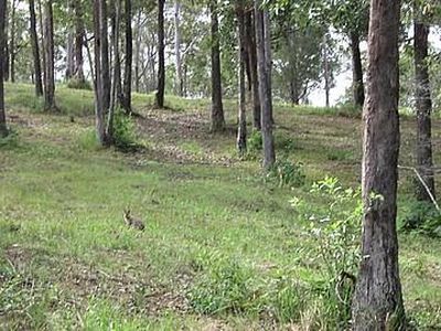 22 Dean Drive, Ocean View, QLD 4521 Property Details - view.com.au