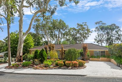 Explore Nunyah Drive, Banksia Park, SA - 5091 - view.com.au