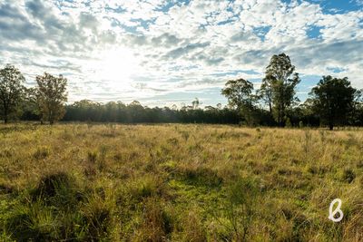 Explore Putty Road, Bulga, NSW - 2330 - view.com.au