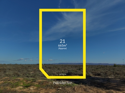 Explore Paltridge Avenue, Stirling North, SA - 5710 - view.com.au