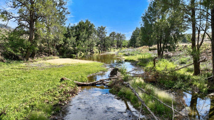 227 Miranee Road, Gundy, NSW 2337 Property Details - view.com.au