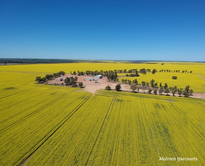 Explore Telegraph Road, West Binnu, WA - 6532 - view.com.au