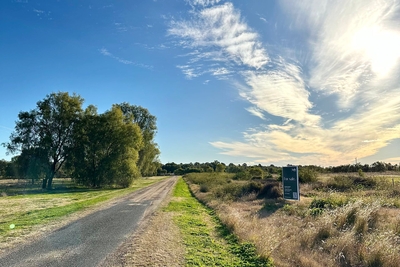 Explore Warialda Street, Pallamallawa, NSW - 2399 - view.com.au