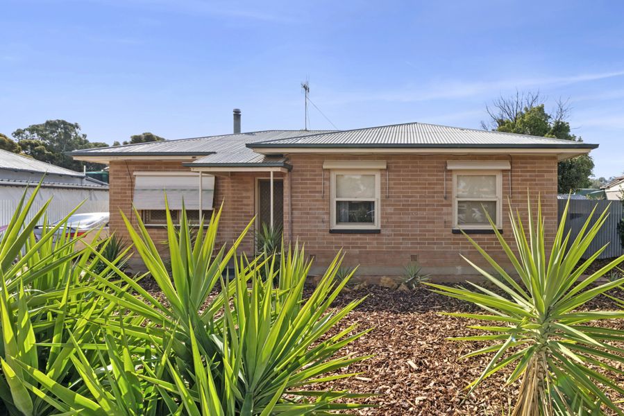 16 Phillips Road, Berri, SA 5343 for Sale | view.com.au