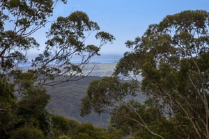1002 Jamberoo Mountain Road, Jamberoo, NSW 2533 for Sale | view.com.au