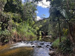 5 Mount Lewis Road, Julatten, QLD 4871 for Sale | view.com.au