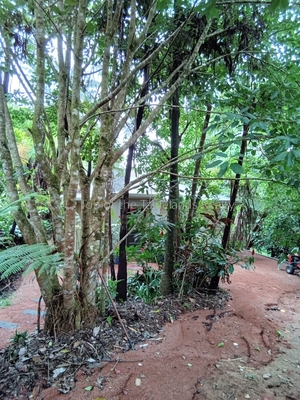 62 Bellview Drive, Ravenshoe, QLD 4888 for Sale | view.com.au