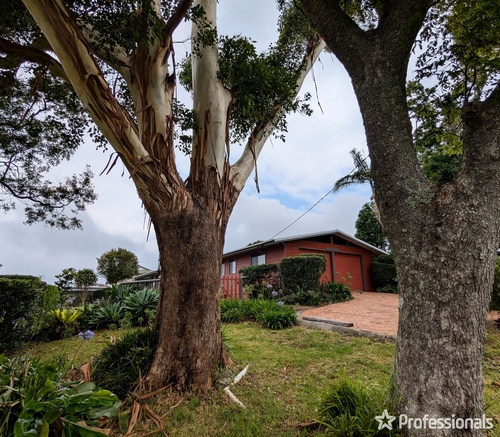 139 Houses for Sale in Tamborine Mountain, QLD 4272