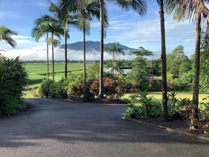 Sold 717 Old Tully Road, Tully, QLD 4854 for $960,000 on 10 Nov, 2025