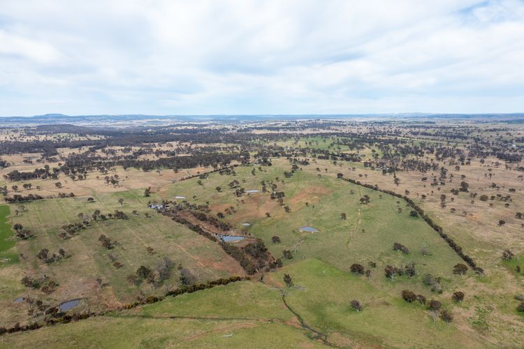 1331 Long Swamp Road, Castle Doyle, NSW 2350 for Auction | view.com.au