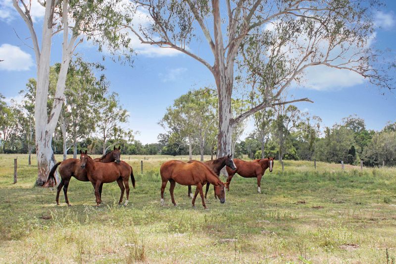 3+ Bedroom Rural Properties for Sale Under $1.5 million in Peak ...