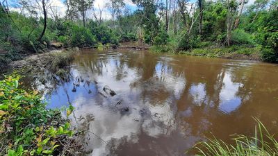 Sold 343 Rappville Road, Rappville, NSW 2469 for $890,000 on 01 May, 2025