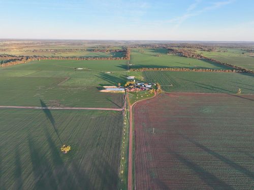 36 Real Estate Properties for Sale in Temora, NSW 2666