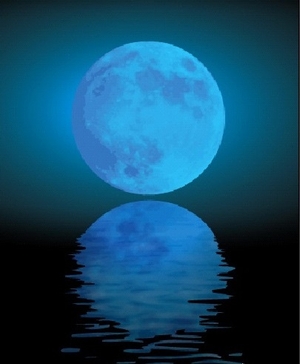 Blue Moon Property Management - Blue Moon Property Sippy Downs | View