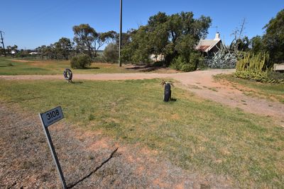 3108 Flinders Ranges Way, Quorn, SA 5433 Property Details - view.com.au