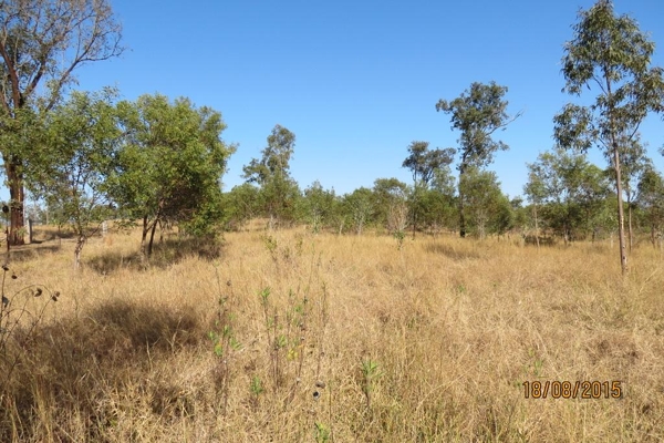 359 Railway Road, Booyal, QLD 4671 Property Details - view.com.au