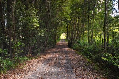 390A East Bank Road, Coramba, NSW 2450 Property Details - view.com.au