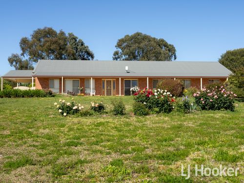 126 Houses for Sale in Inverell, NSW 2360