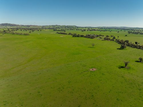 20 Real Estate Properties for Sale in Holbrook, NSW 2644