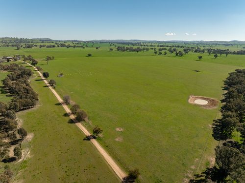 20 Real Estate Properties for Sale in Holbrook, NSW 2644