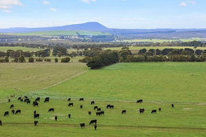 932 Mount Mercer Dereel Road, Mount Mercer, VIC 3352 for Sale | view.com.au