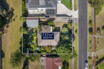 Explore Wilga Street, Mount Waverley, VIC - 3149 - view.com.au