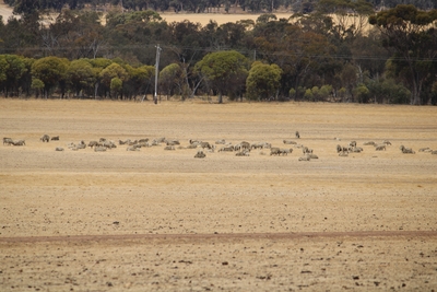 Explore Great Southern Highway, Boyerine, WA - 6316 - view.com.au