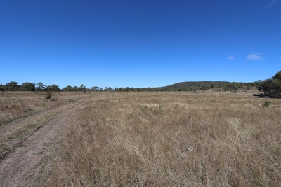 Explore Weale Creek Road, Dalma, QLD - 4702 - view.com.au