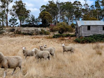 Explore Tunnack Road, Parattah, TAS - 7120 - view.com.au