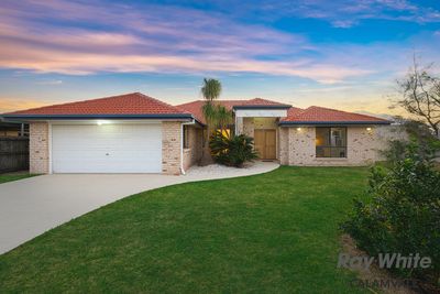 Explore Columbus Circuit, Drewvale, QLD - 4116 - view.com.au