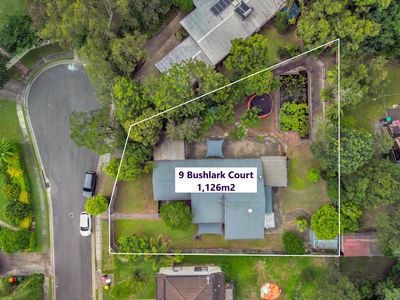 Explore Bushlark Court, Bellbowrie, QLD - 4070 - view.com.au