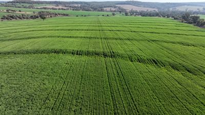 Warialda NSW 2402 - Property Market Trends & Investment Insights | view ...