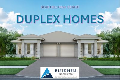 Explore Tanta Street, Chisholm, NSW - 2322 - view.com.au