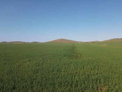 Explore Melrose Road, Pekina, SA - 5431 - view.com.au