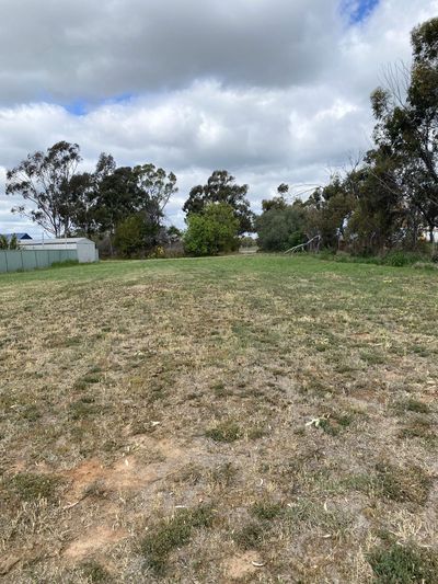 Explore Coreen Street, Jerilderie, NSW - 2716 - view.com.au